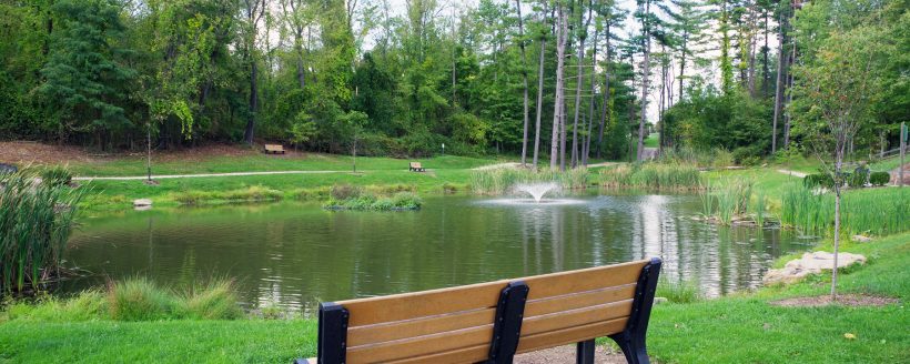 Moon Parks Foundation